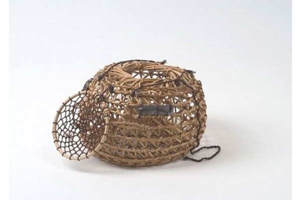 Decorazione NASA ROUND FISH per la tua casa.